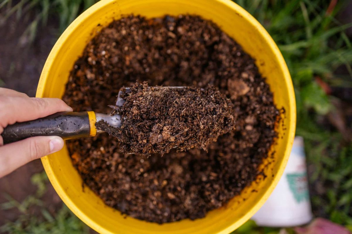 How to Add Phosphorus to Soil: Testing and Application